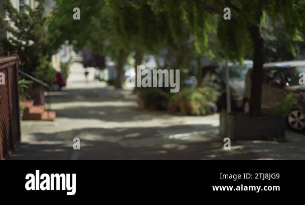 Street shade trees Stock Videos & Footage - HD and 4K Video Clips - Alamy