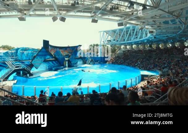 Killer Whales Perform During the Shamu Show at Sea World Orlando - One ...