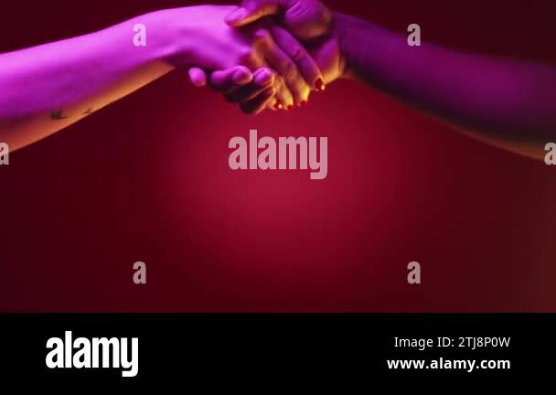 Diverse handshake. Gender equality. International unity. Pink purple ...