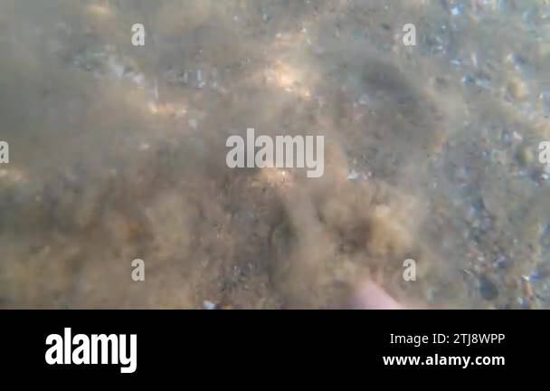 Woman standing barefoot on sand underwater and digging her feet into sand. Woman digging her ...