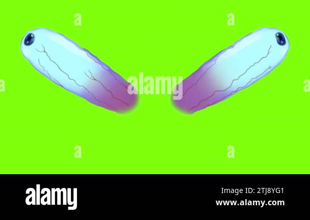 Popping eyes cartoon animation on green screen. Character shock ...