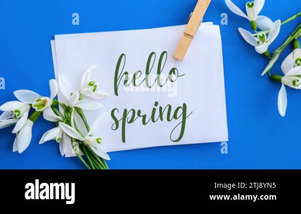 Spring handwritten text flowers Stock Videos & Footage - HD and 4K ...
