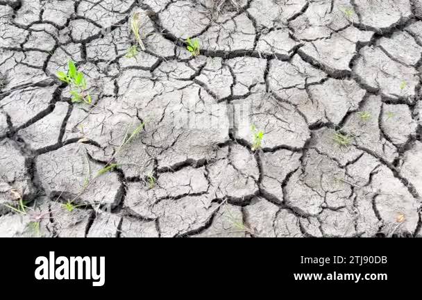 Drained land Stock Videos & Footage - HD and 4K Video Clips - Alamy