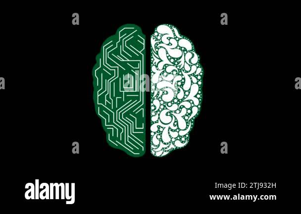 The AI brain and the biological brain, Artificial Intelligence brain ...