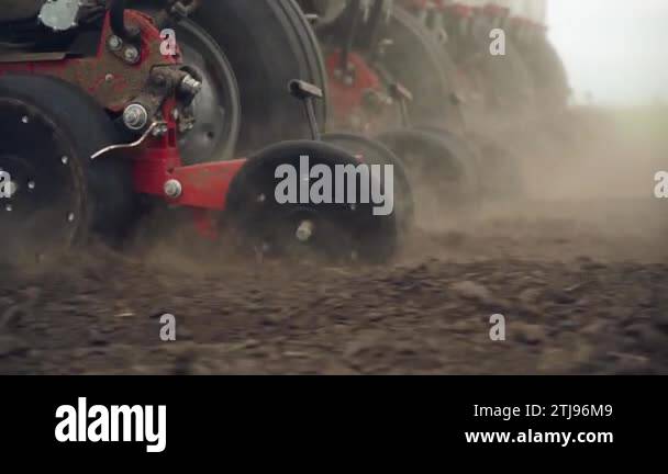 sowing the field with corn grains. tractor works the field with a ...