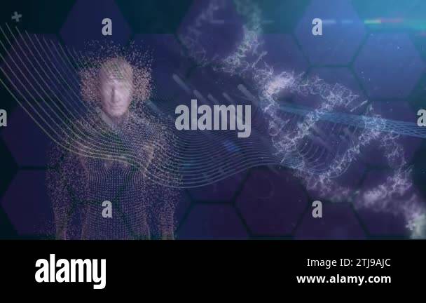 Animation digital human body with dna helix, wave pattern and hexagons over lens flares ...