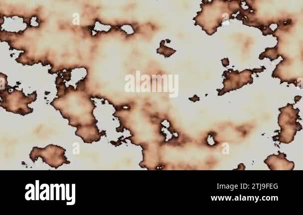 Animated film texture Stock Videos & Footage - HD and 4K Video Clips ...