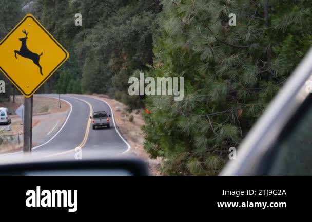 Deer crossing warning yellow sign, California USA. Wild animals xing ...