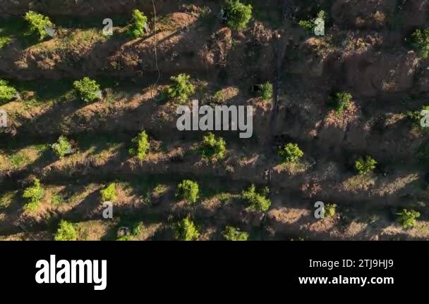 Witness the terraced beauty as our cinematic drone reveals the splendor ...