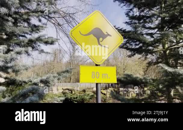 Beware of kangaroo crossing road sign Stock Videos & Footage - HD and ...