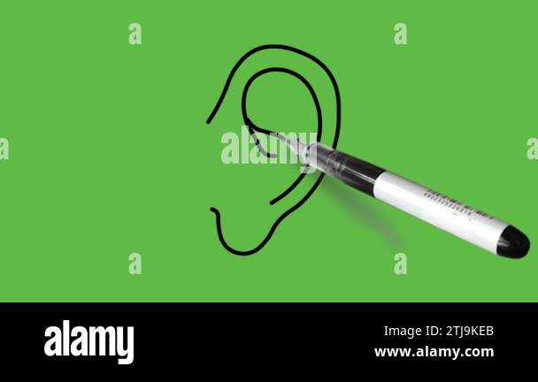 Dark brown ear Stock Videos & Footage - HD and 4K Video Clips - Alamy