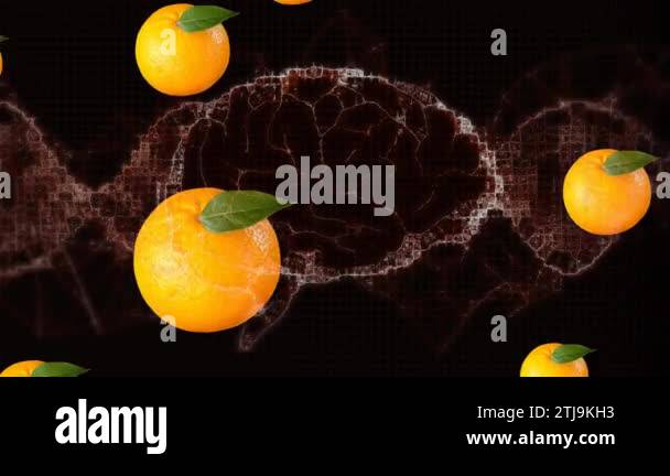 Animation of digital brain with dna helix over oranges against black ...