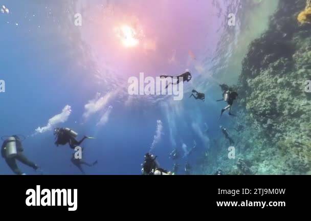 Safety in egypt Stock Videos & Footage - HD and 4K Video Clips - Alamy