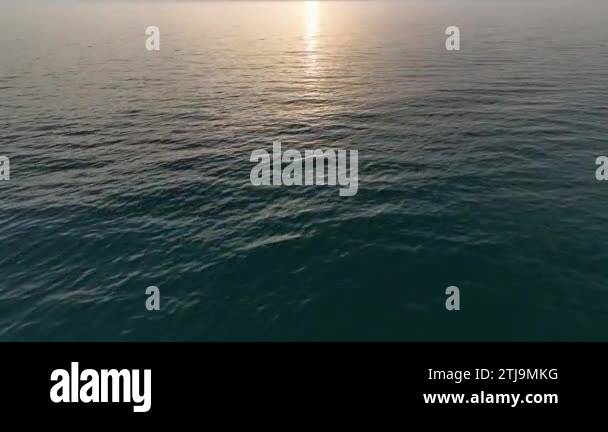 Underwater sand ripple Stock Videos & Footage - HD and 4K Video Clips ...