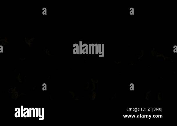 explosion fire flame 4k Stock Video Footage - Alamy