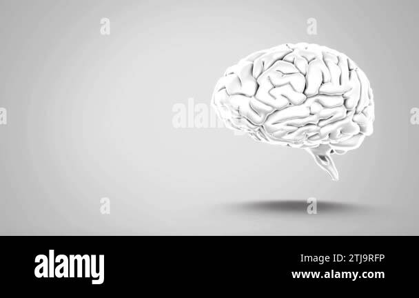 3d brain health and mind idea head concept human science graphic cgi ...