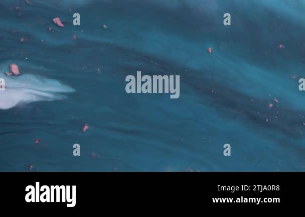 Abstract fluid art drawing acrylic texture with flowing effect ...