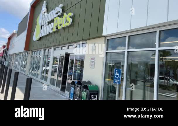 Homes alive pets Stock Videos & Footage - HD and 4K Video Clips - Alamy