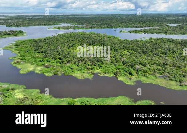 Amazon River at Amazon Rainforest. The biggest tropical rainforest of ...