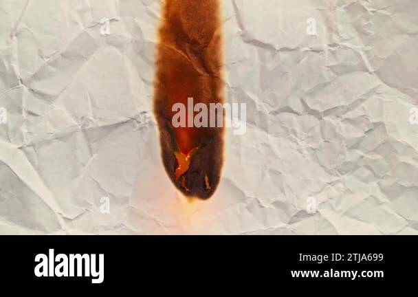 White paper burns from above on a green background copy space. The ...