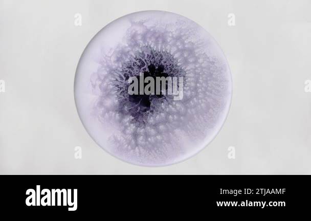 High Flow Fluid Painting. Flowing glitter waving surface. Mixing ...