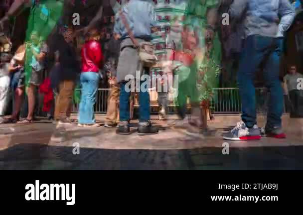 Biggest flea Stock Videos & Footage - HD and 4K Video Clips - Alamy