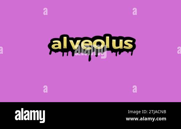 Lung pulmonary alveolus capillary Stock Videos & Footage - HD and 4K ...