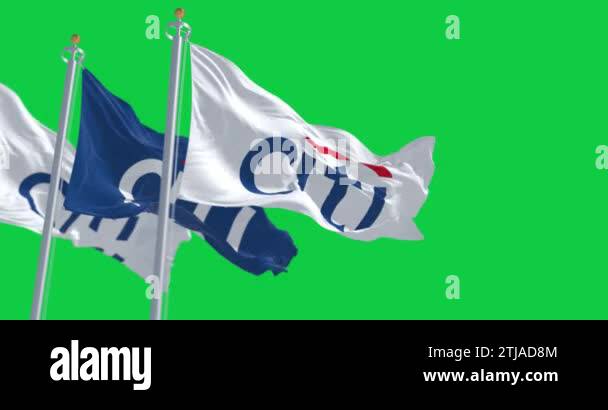 New York, US, March 2023: Citi flags waving isolated on a green ...