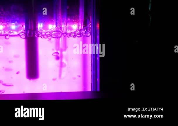 Algae science reactor, research modern laboratory bioreactor multi ...