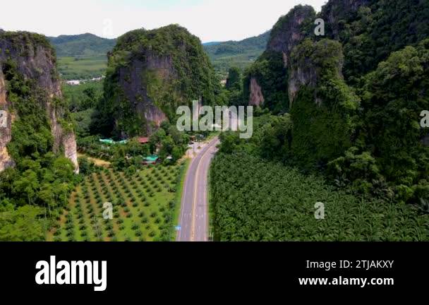 Palm oil tree plantations thailand Stock Videos & Footage - HD and 4K Video Clips - Alamy