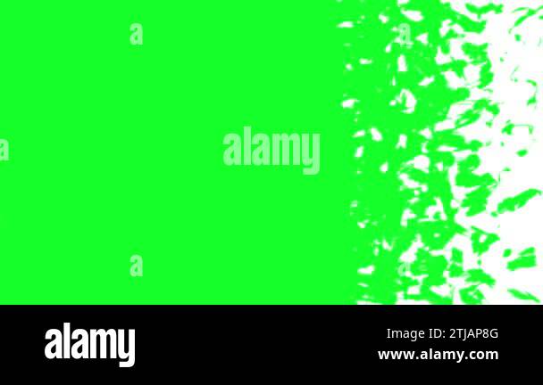 Cartoon shape transition on a green screen. Abstract shape transition ...