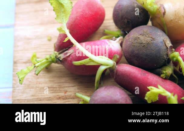 Radish photo Stock Videos & Footage - HD and 4K Video Clips - Alamy