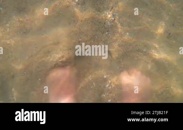 Woman standing barefoot on sand underwater and digging her feet into sand. Woman digging her ...