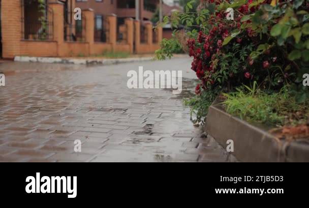 Rain drops falling into puddle at city, original audio included Stock ...