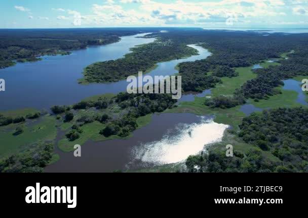 Amazon River at Amazon Forest. The famous tropical forest of world ...