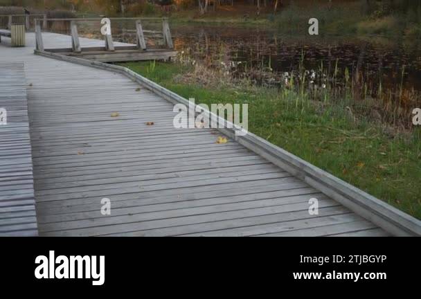 A modern example of a wooden boardwalk on the river bank with a viewing ...