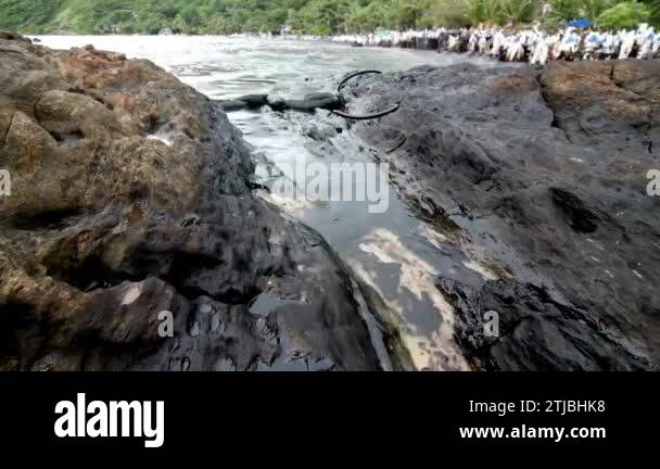 Beach Water pollution cleanup from Oil slick effects on marine life ...
