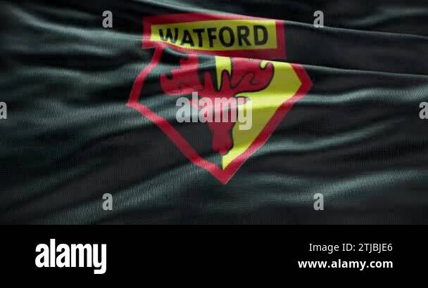 Watford football club logo Stock Videos & Footage - HD and 4K Video ...