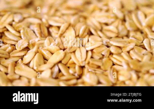 Oat texture Stock Videos & Footage - HD and 4K Video Clips - Alamy