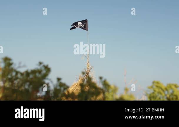 Pirate hut on the beach with black flag with waving skull Stock Video ...