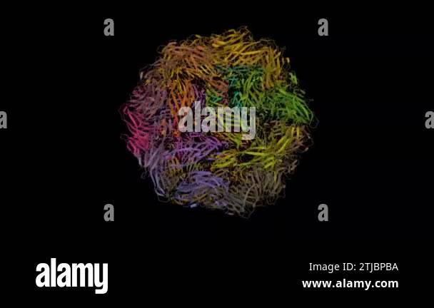 Structure of porcine circovirus 2. Animated 3D cartoon and Gaussian ...