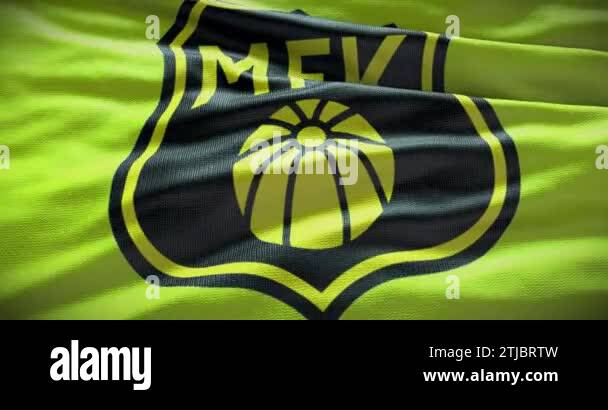 Club moss or selaginella Stock Videos & Footage - HD and 4K Video Clips ...