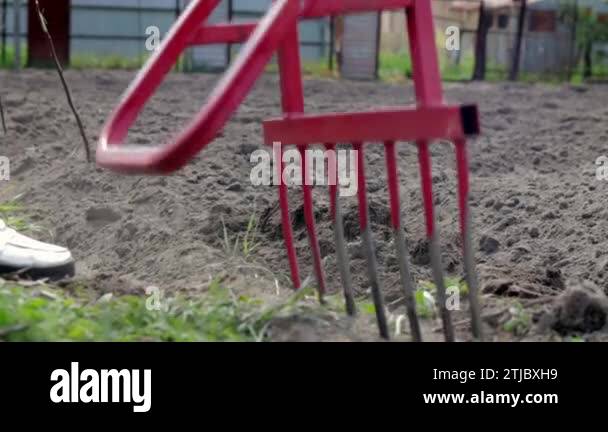 Red shovel in the form of a fork in the garden. Miracle shovel, handy tool. Manual cultivator ...