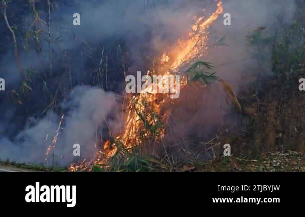 Infernal Outbreak: Dry Seasons Ground Fire Results in Air Pollution in ...