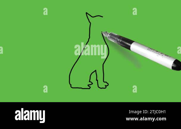 Draw grey color dog sitting on its back paws with brown mouth,ears ...