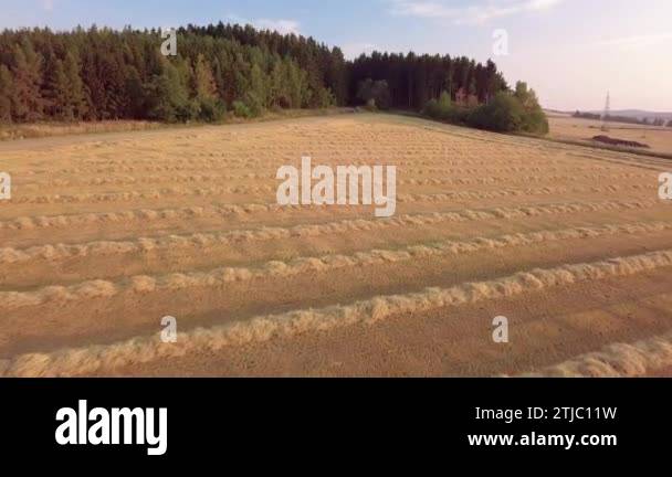 European farming landscape Stock Videos & Footage - HD and 4K Video ...