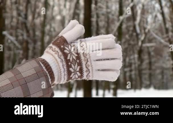 Close-up of female hands in a snowy forest on a frosty day. Hands of a ...