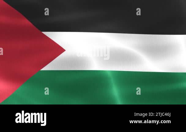 Palestine flag fabric texture Stock Videos & Footage - HD and 4K Video ...