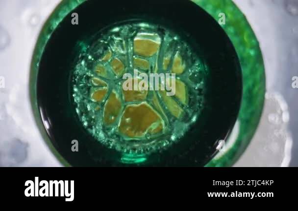 Bubbled beer foaming flask closeup. Hoppy liquor frothing at freshly ...