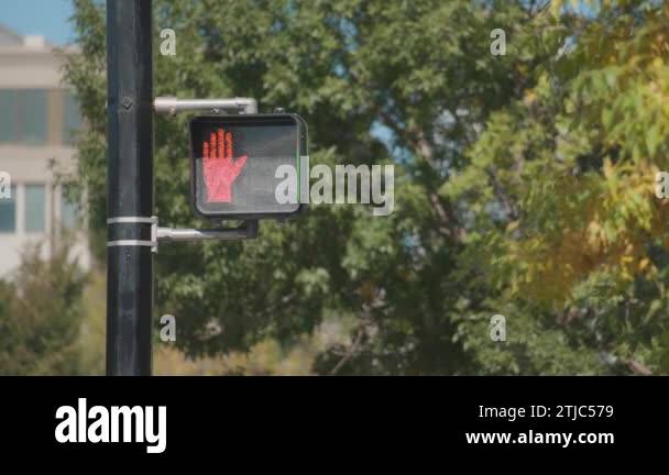 Pedestrian cross light Stock Videos & Footage - HD and 4K Video Clips ...